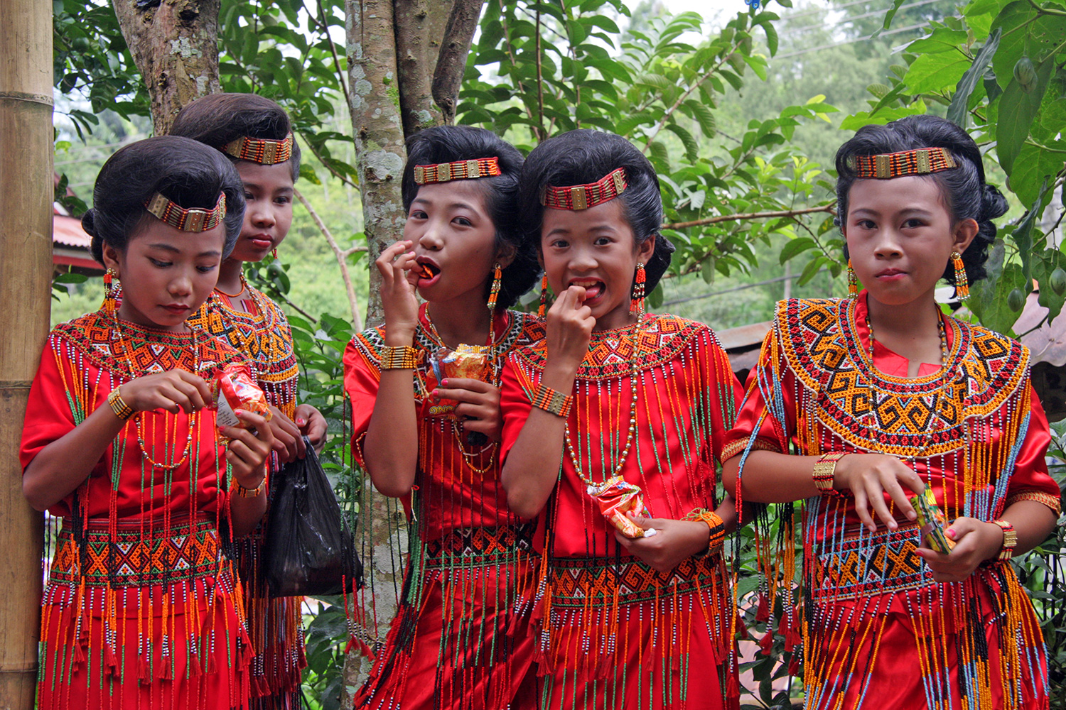 Sulawesi: Scopri i Toraja con trekking